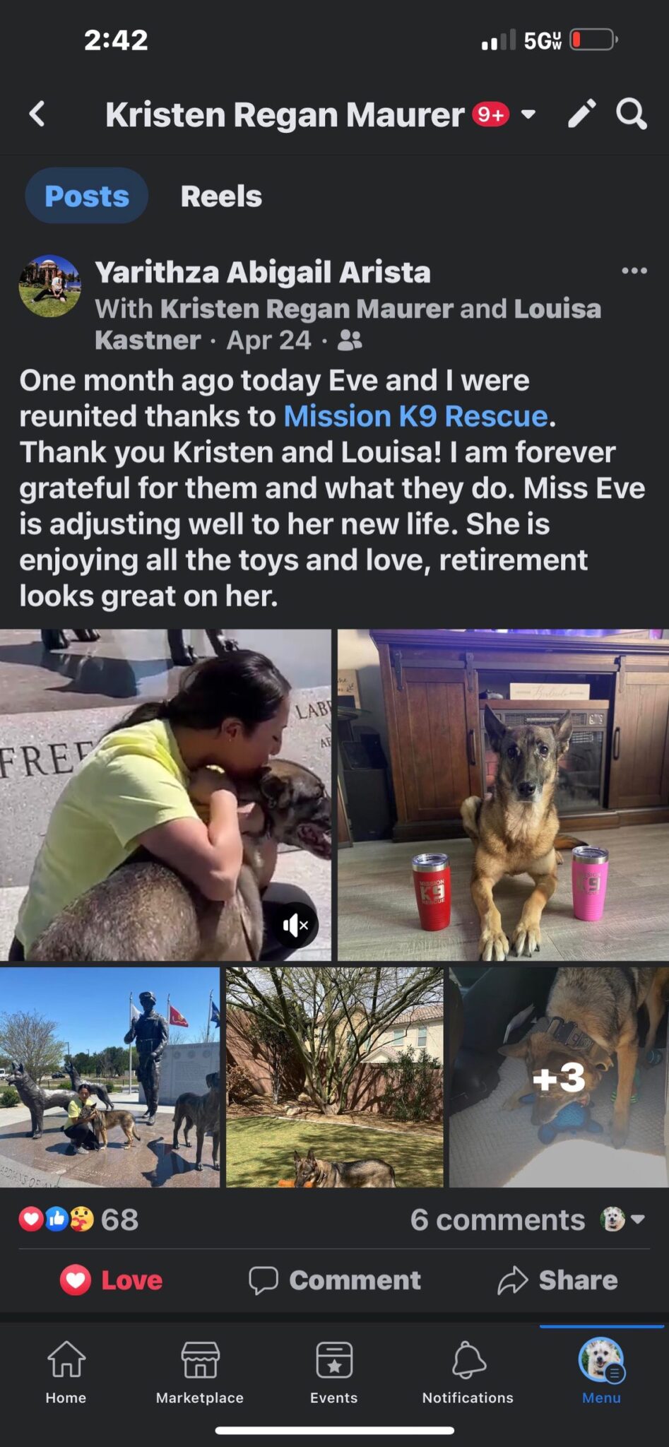 Blog | Mission K9 Rescue